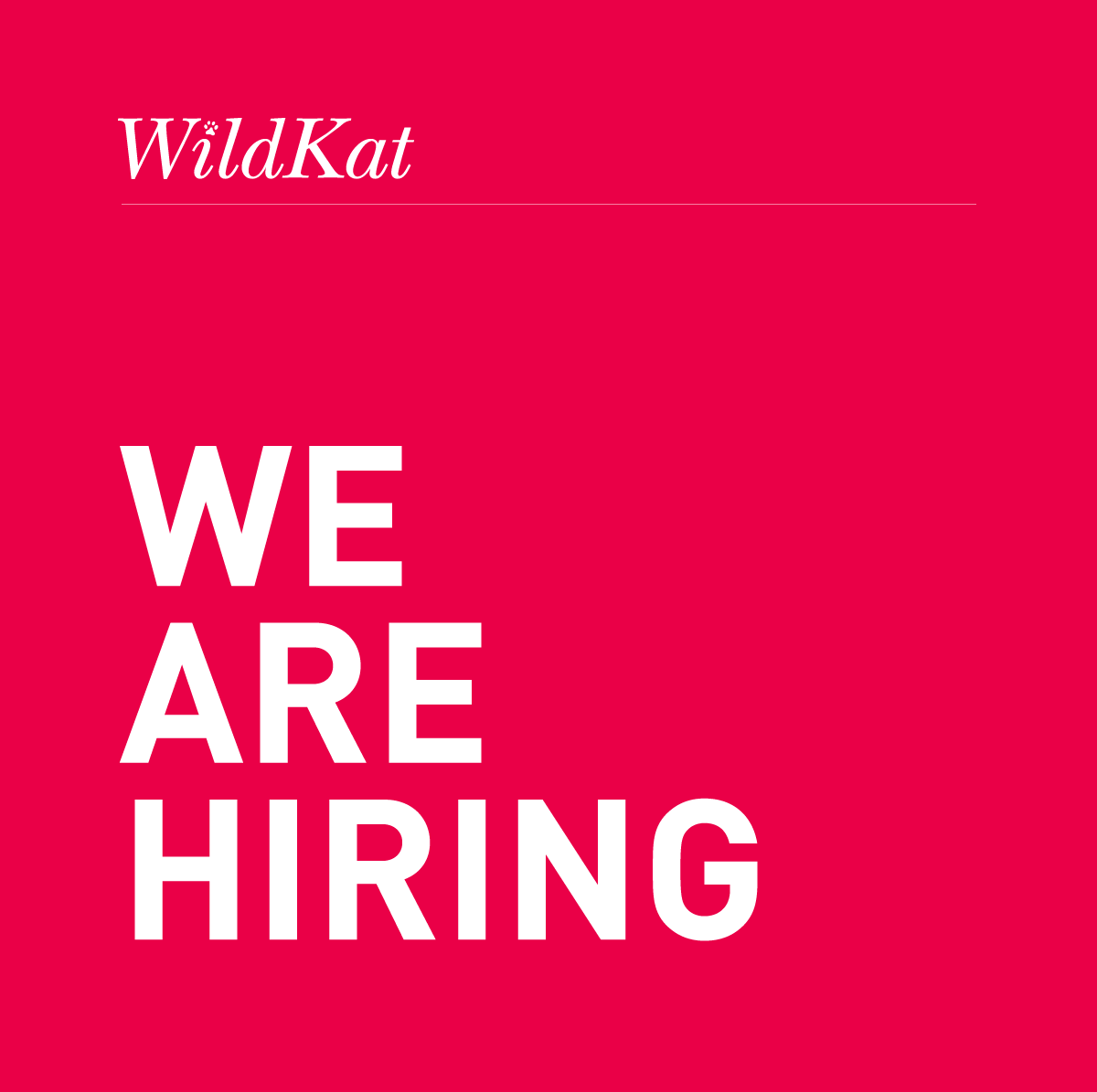 WildKat is hiring in Paris - WildKat