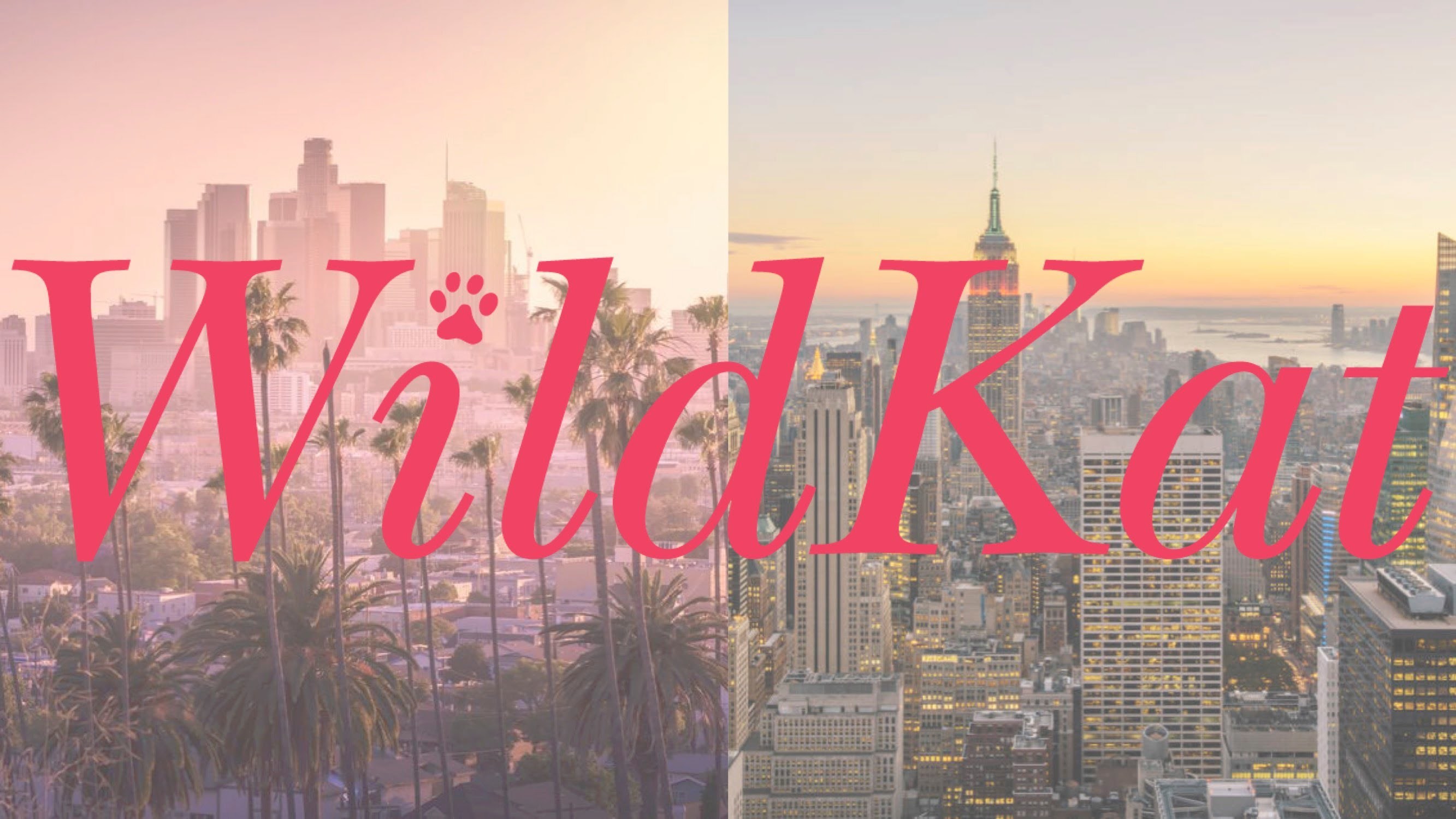 WildKat announces the opening of its USA offices - WildKat